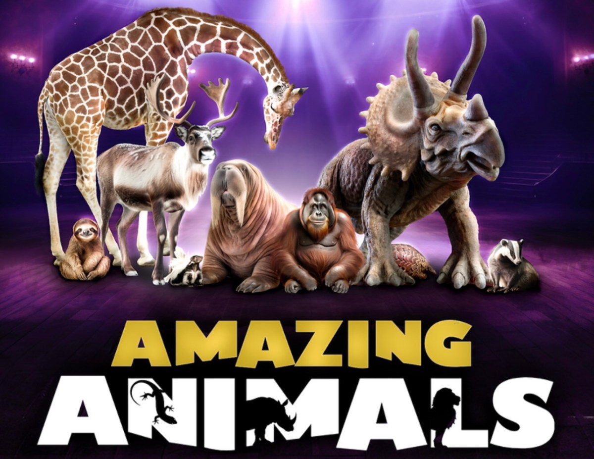 Review: Amazing Animals (Touring) – Always Time For Theatre